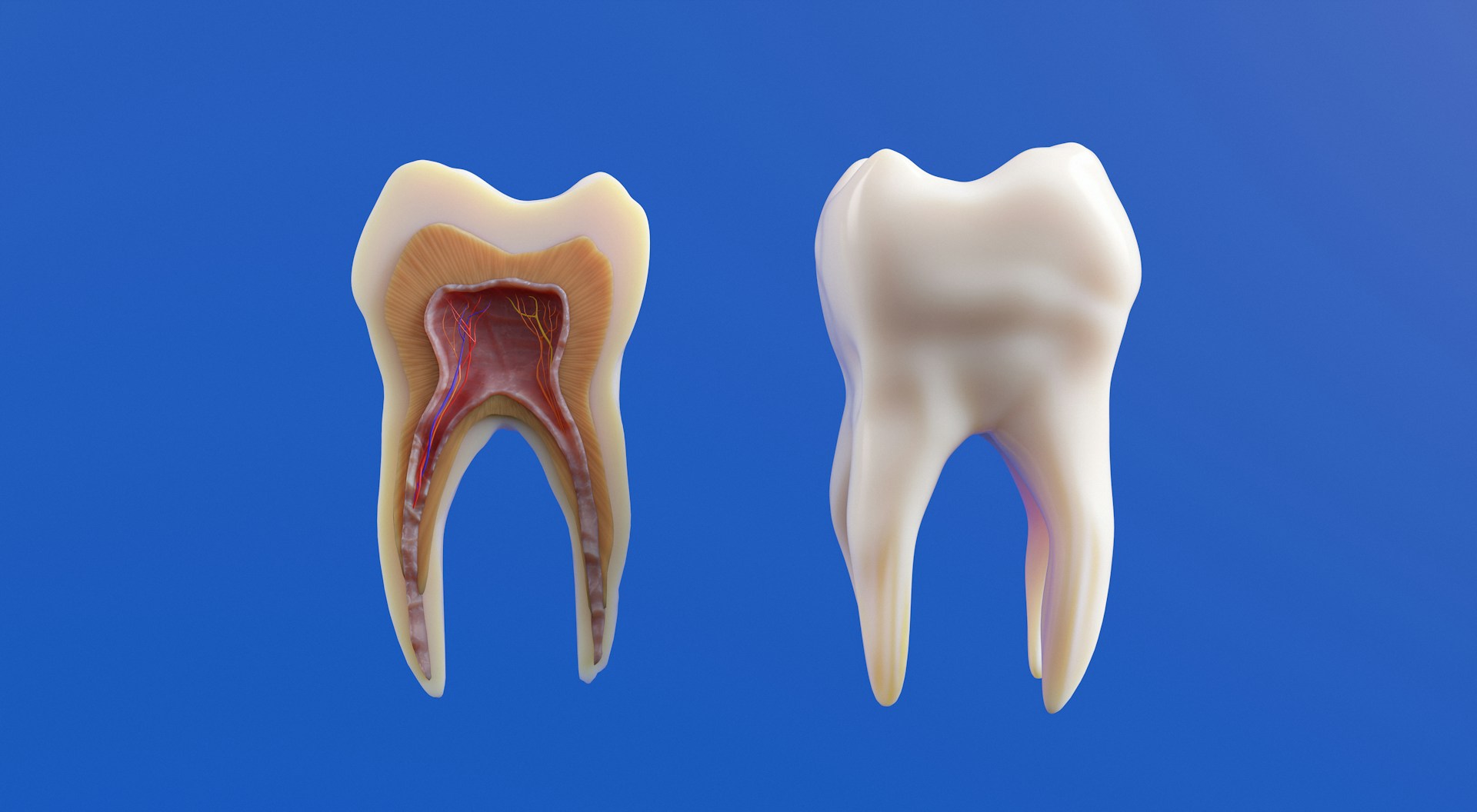 Repair Cavities Fast with Tooth-Colored Fillings - Gamboa Dental Group